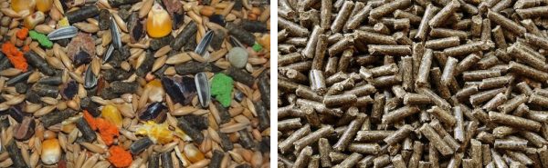 konijnerlei.nl - Water en voer