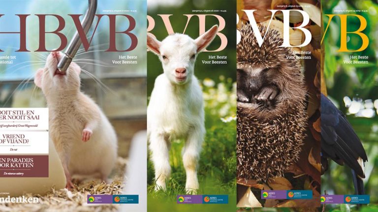 konijnerlei.nl - HBVB Magazine