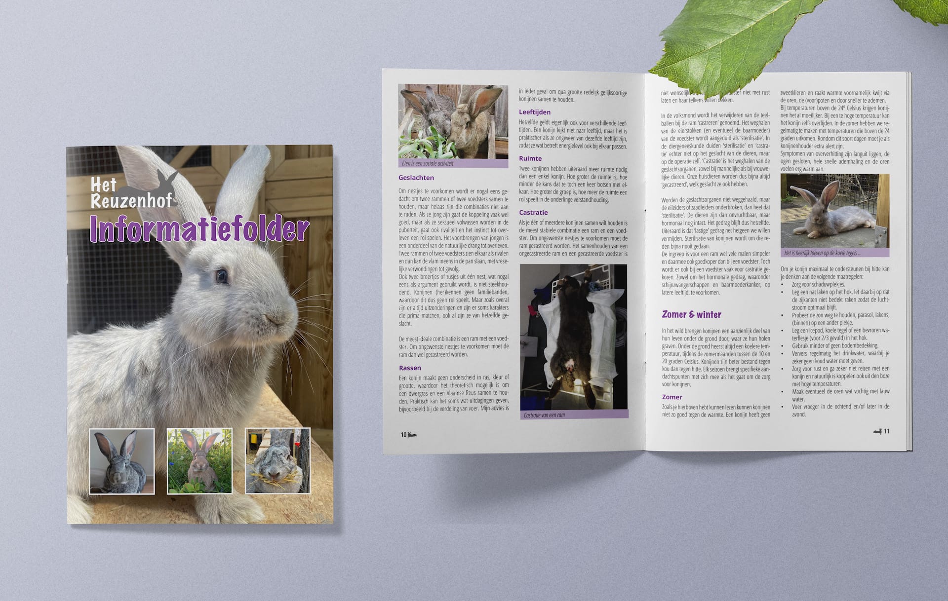 konijnerlei.nl - Informatiefolder